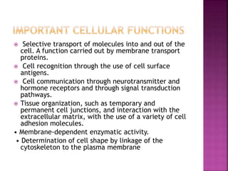 Membrane and nerve physiology CTTO: Dra Glice Aoanan | PPTX