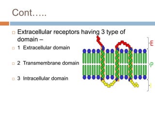 Membrane based classification of signalling pathways | PPT