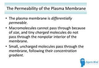 Membrane biology | PPT