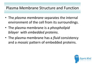 Membrane biology | PPT