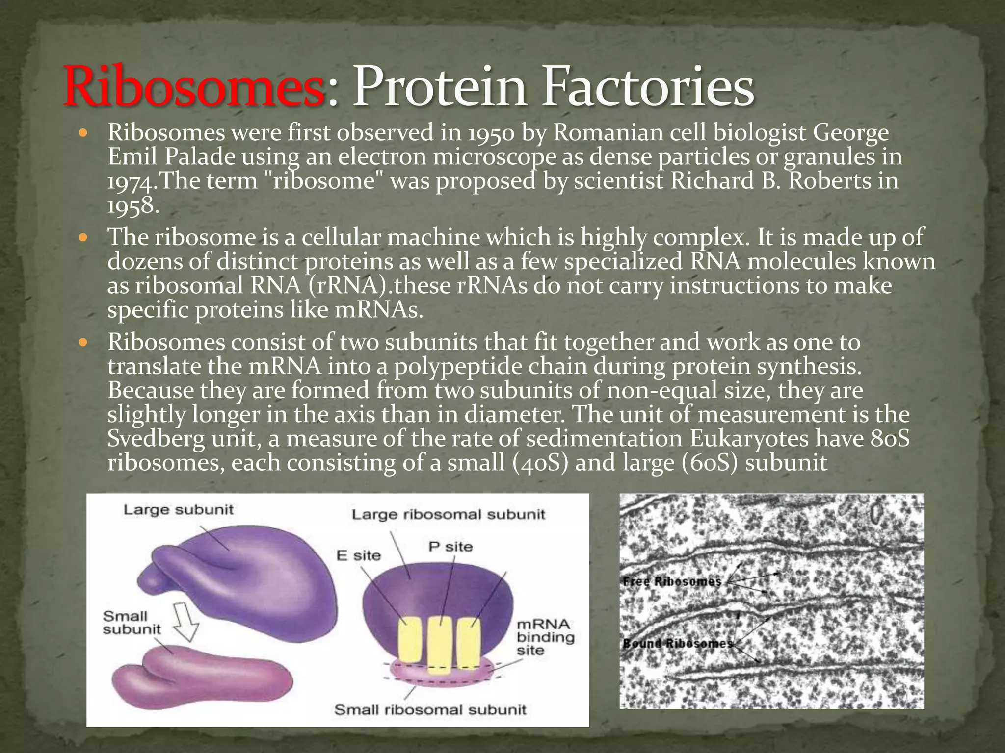 Membrane bounded organelles | PPTX