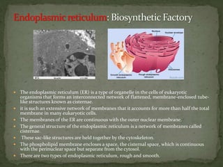 Membrane bounded organelles | PPTX