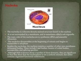 Membrane bounded organelles | PPTX