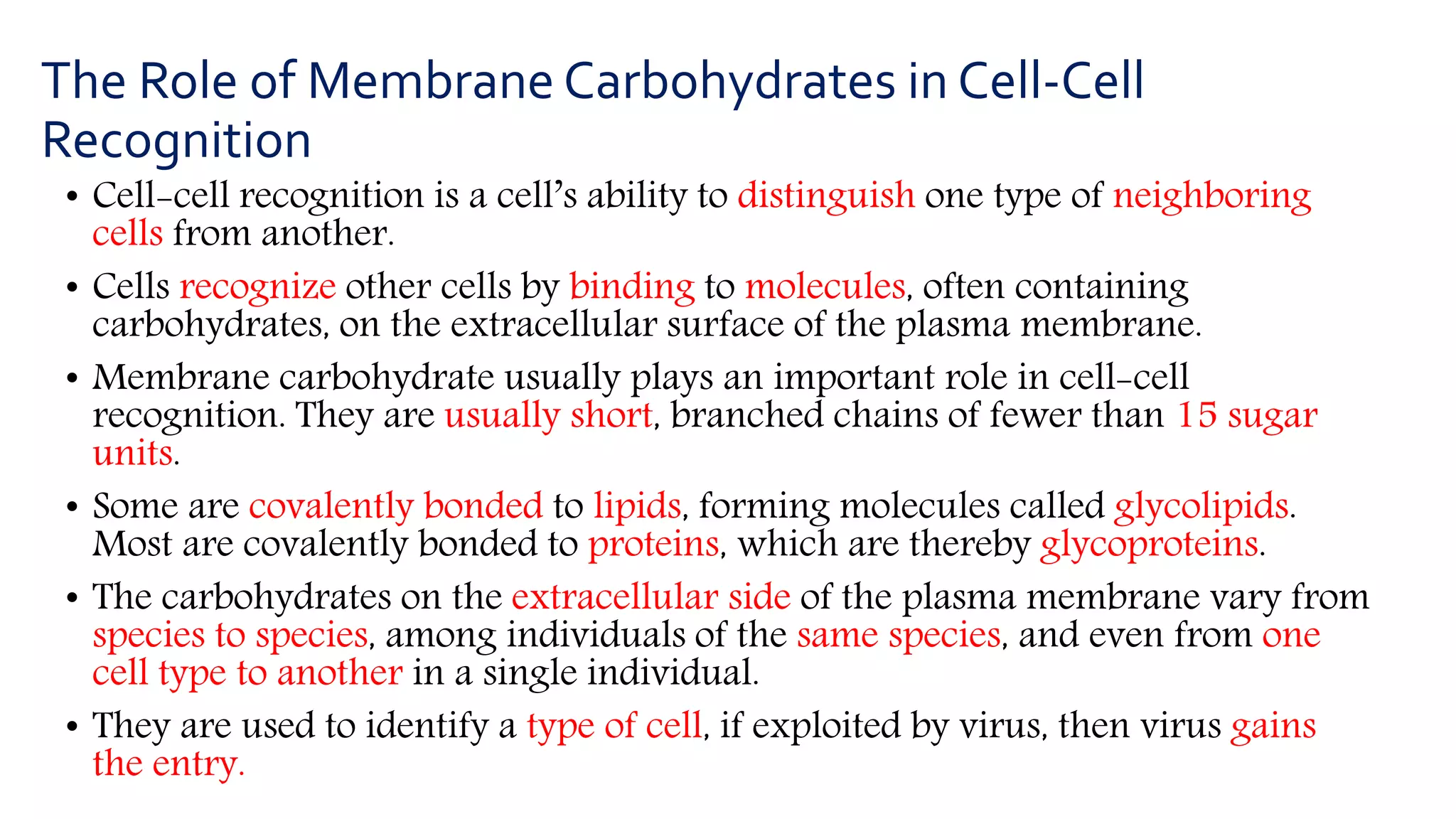 Membrane carbohydrate and their significance in cellular recognition | PPTX