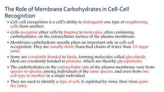 Membrane carbohydrate and their significance in cellular recognition ...