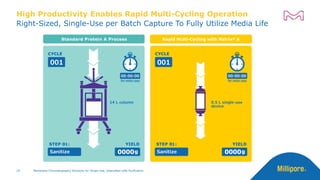 Membrane Chromatography Solutions for Single-Use, Intensified mAb ...