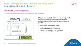 Membrane Chromatography Solutions for Single-Use, Intensified mAb ...