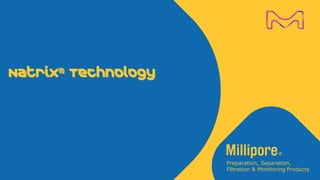 Membrane Chromatography Solutions for Single-Use, Intensified mAb ...