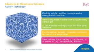 Membrane Chromatography Solutions for Single-Use, Intensified mAb ...