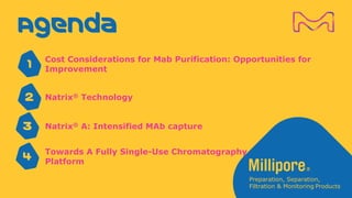 Membrane Chromatography Solutions for Single-Use, Intensified mAb ...