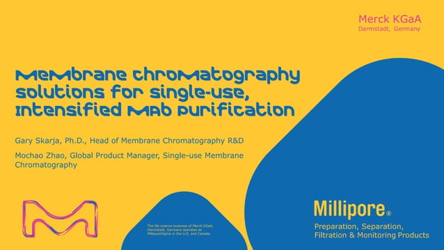 Membrane Chromatography Solutions for Single-Use, Intensified mAb ...