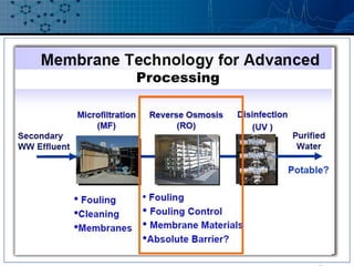 Membrane Class ppt for cell biology and biotechnology | PPT