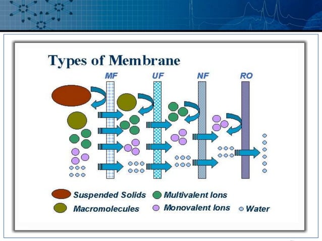 Membrane Class ppt for cell biology and biotechnology | PPT | Chemistry ...