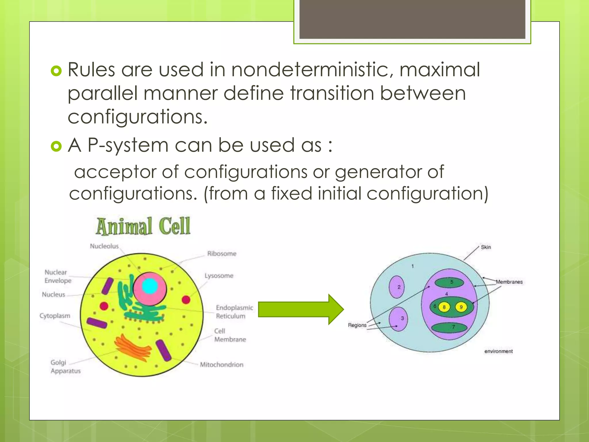 Membrane computing | PPTX