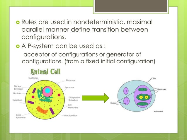 Membrane computing | PPTX