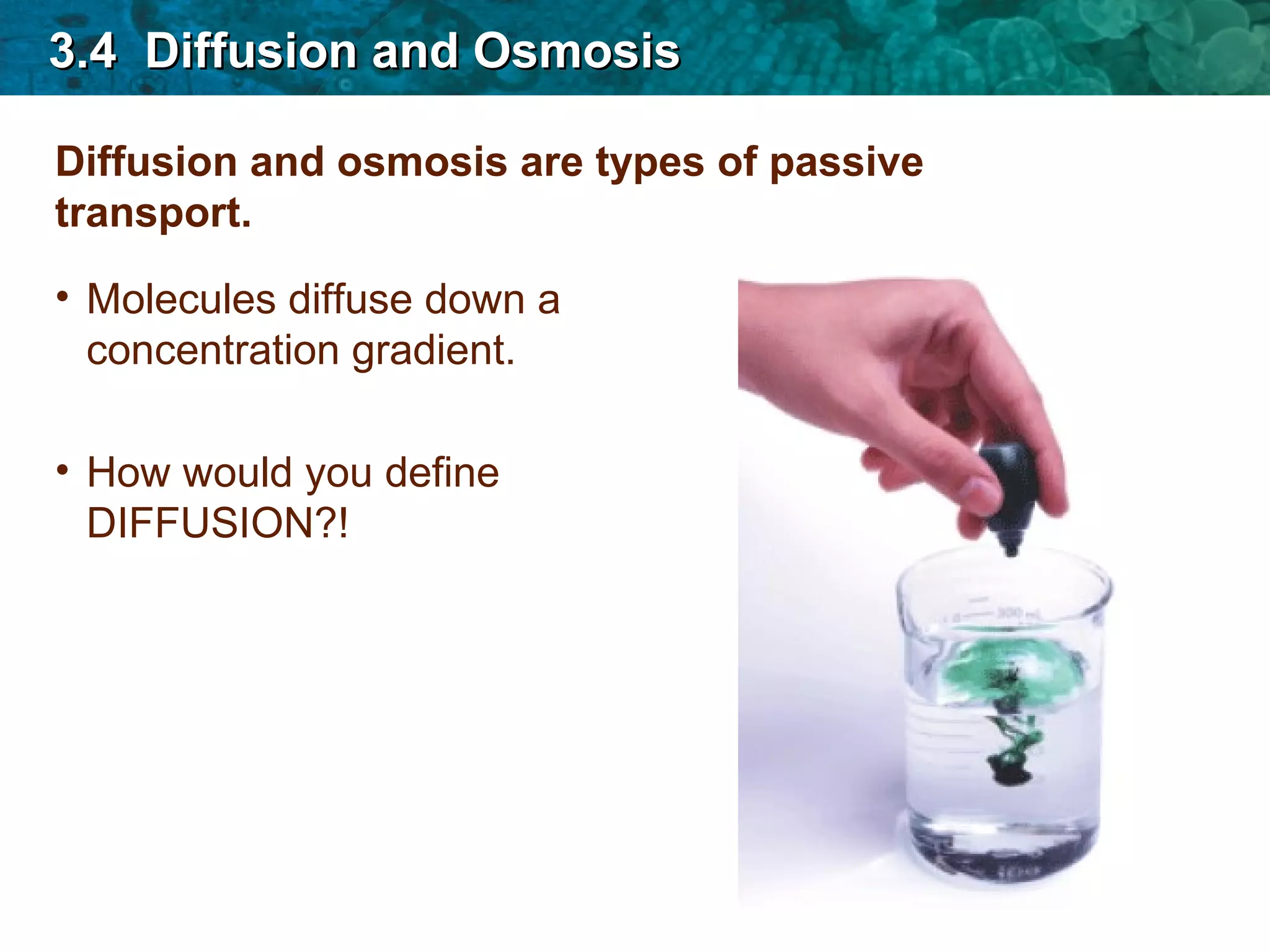 Membrane & Diffusion notes | PPT