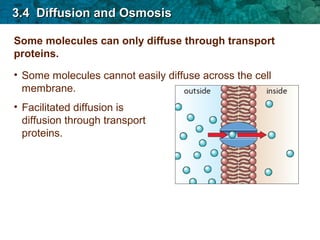 Membrane & Diffusion notes | PPT