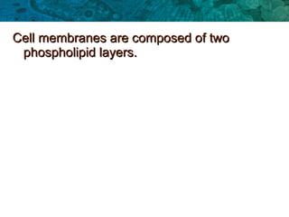Membrane & Diffusion notes | PPT