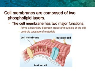 Membrane & Diffusion notes | PPT