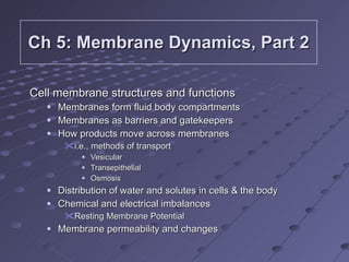 Membrane Dynamics, Part 2 | PPT