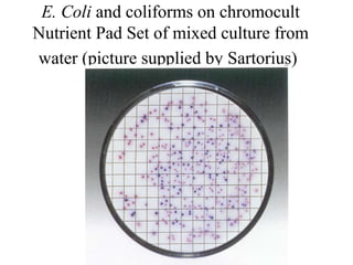 Membrane filtration | PPT