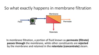 Membrane filtration by Akram Hossain, Food and Process Engineering ...