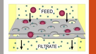 Membrane Filtration & Insights to water purification.pptx