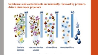 Membrane Filtration & its role in water purification.pptx