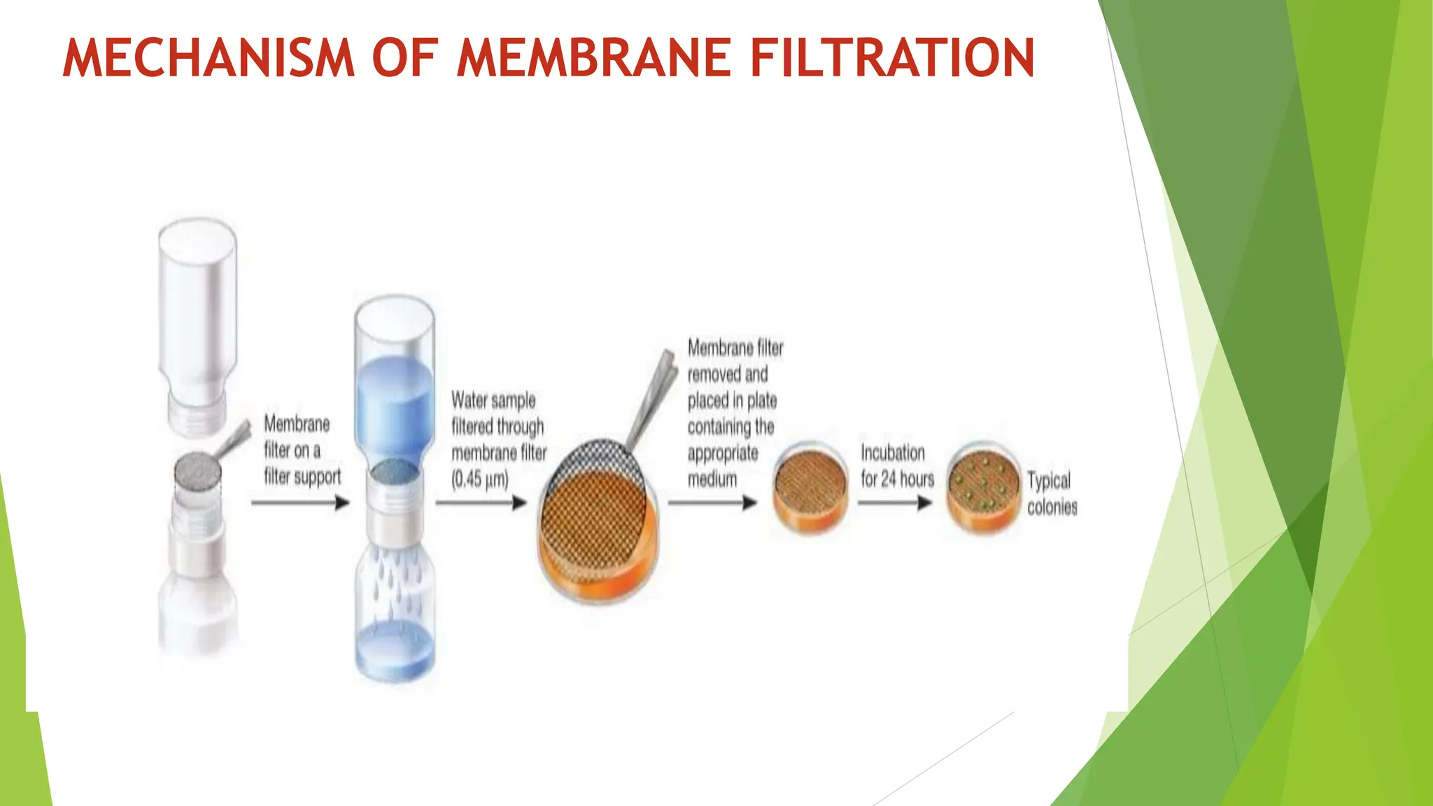 MEMBRANE FILTRATION PRESENTATION.pptx ppt | PPTX