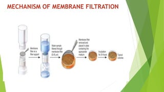 MEMBRANE FILTRATION PRESENTATION.pptx ppt | PPTX