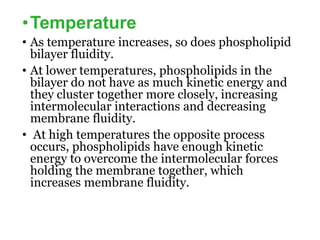 Membrane fluidity | PPTX