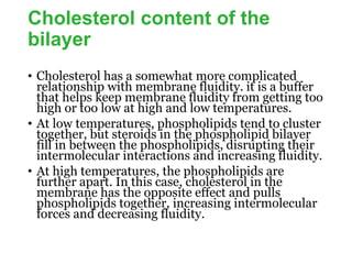 Membrane fluidity | PPTX