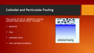 Membrane fouling in reverse osmosis | PPTX