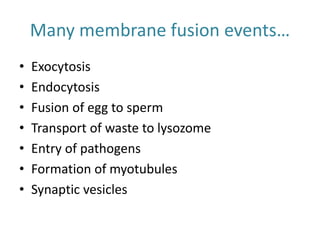 Membrane fusion | PPTX