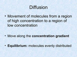 Membrane lab | PPT