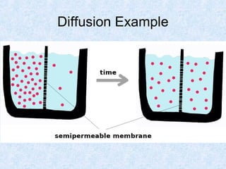 Membrane lab | PPT