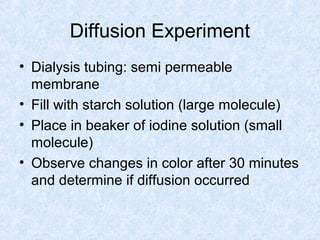 Membrane lab | PPT