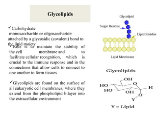 Membrane lipidomics presentation submitted by Yenkokpam Supriya | PPTX