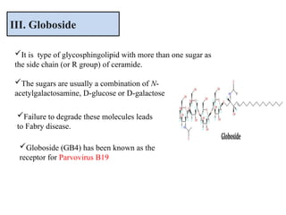 Membrane lipidomics presentation submitted by Yenkokpam Supriya | PPTX