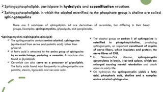 MEMBRANE LIPIDS Part 2 specific on 3 types | PPTX