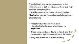 MEMBRANE LIPIDS Part 2 specific on 3 types | PPTX