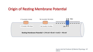 Membrane Physiology, Nerve and Muscle.pptx