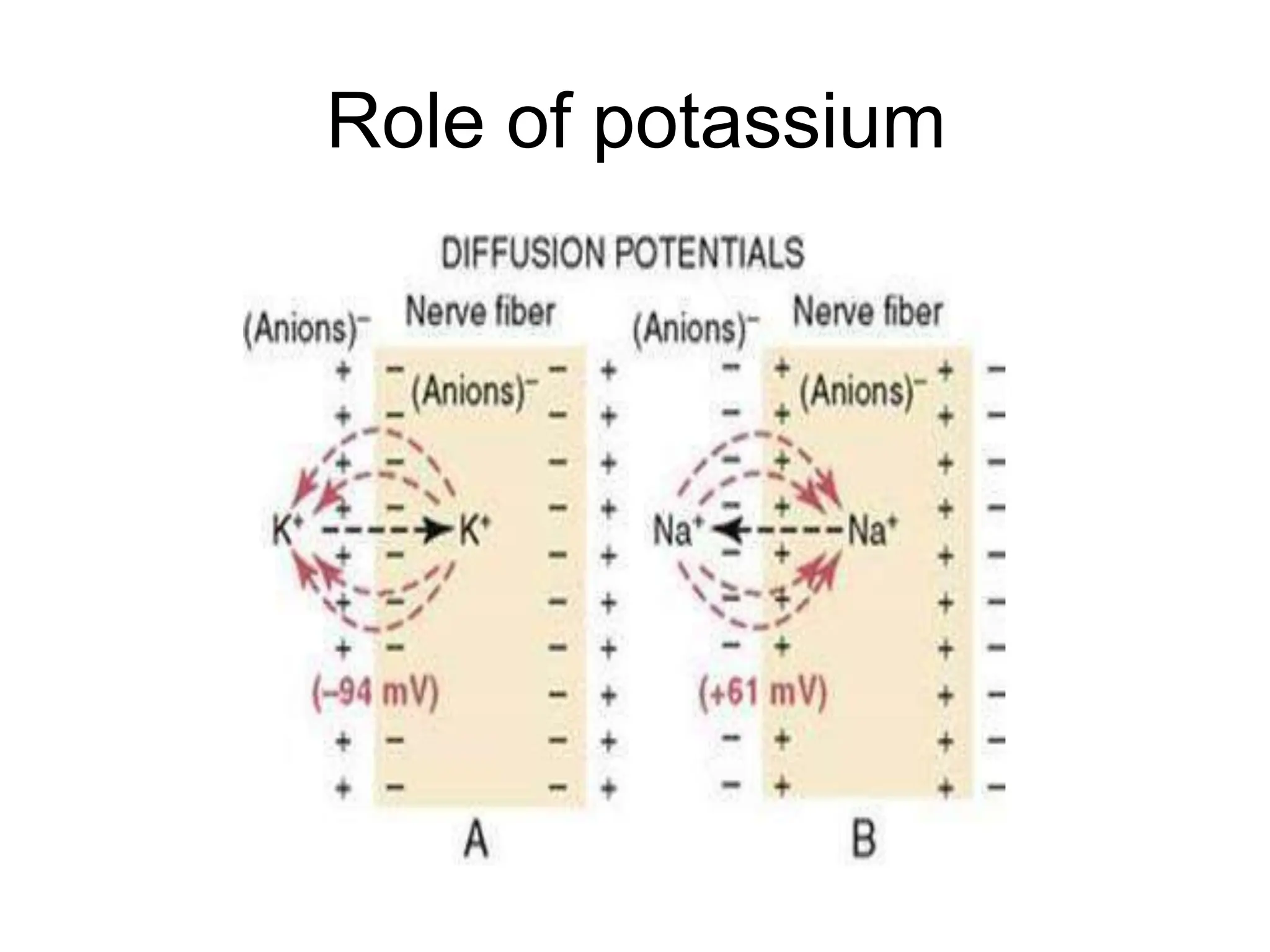 Membrane and Resting Membrane potential .ppt