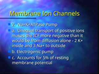 MEMBRANE POTENTIAL definition and clarificationppt | PPT