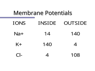 MEMBRANE POTENTIAL definition and clarificationppt | PPT