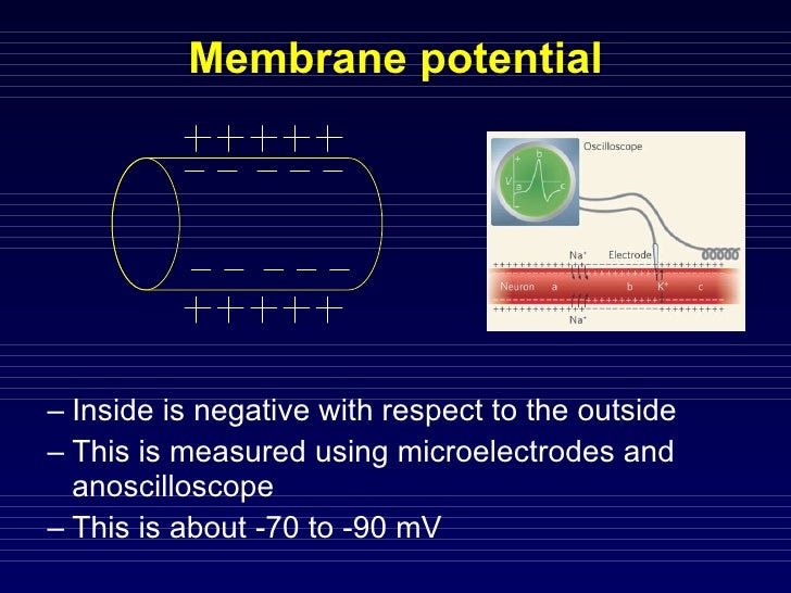Membrane Potentials