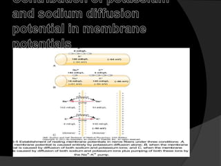 Membrane potentials | PPTX