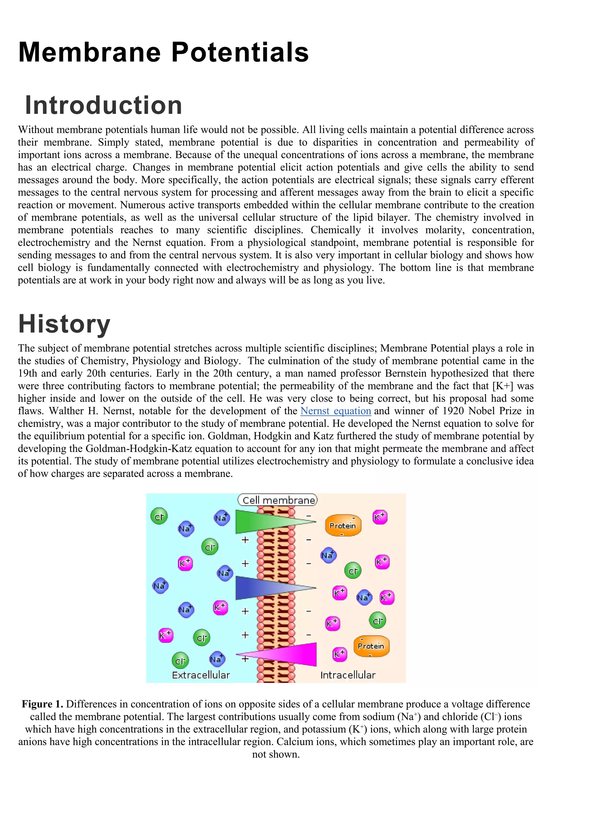 Membrane potentials | PDF