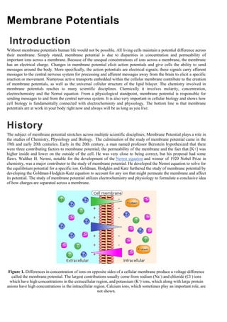 Membrane potentials | PDF