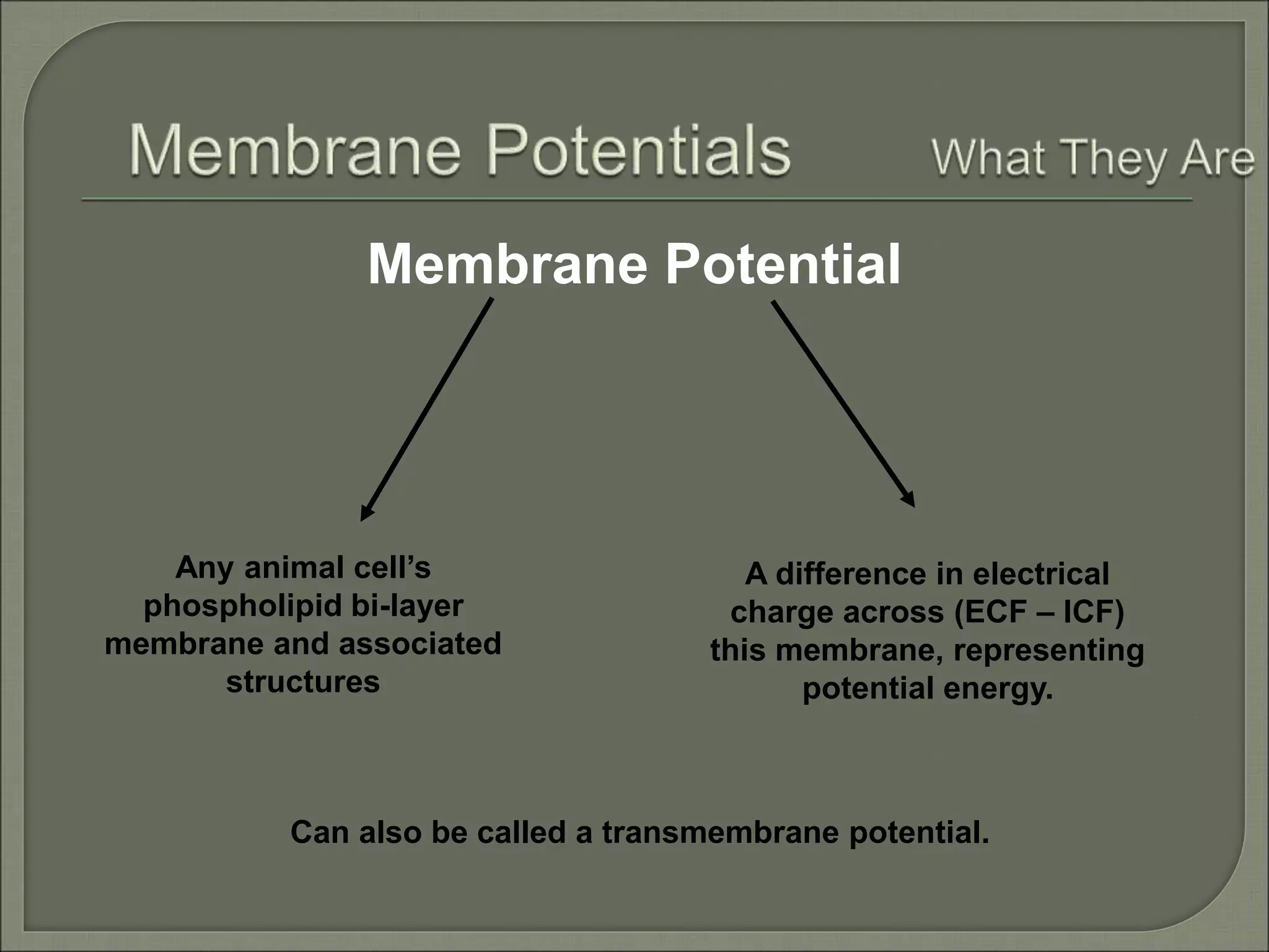 Membrane_Potentials_2021-46887.ppt